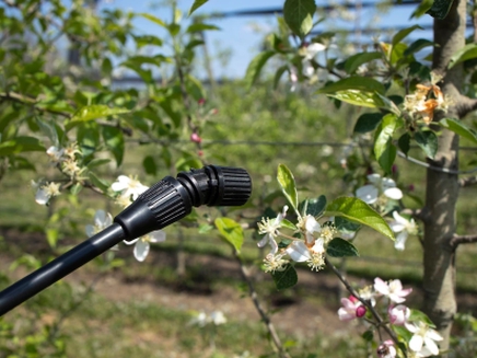 Дела - Календарь дел для садовода и огородника | Дела (Огород.ru)